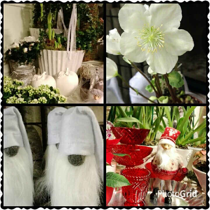 Jul i butik | Blomsterhuset