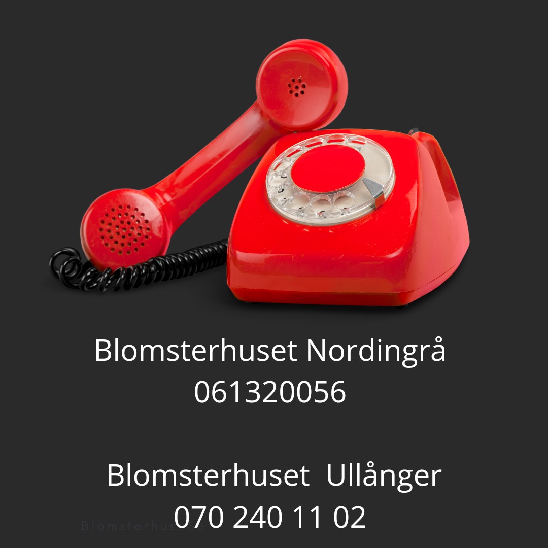 Telefon nummer | Blomsterhuset
