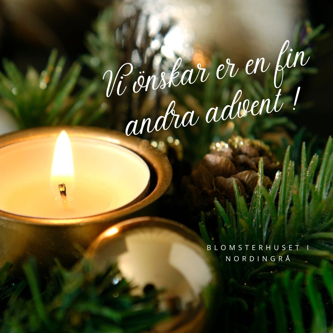 en fin andra advent | Blomsterhuset