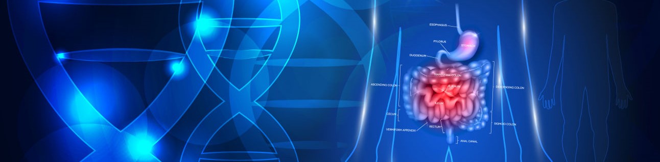 GI Effects Comprehensive x 3 | Madeleine Marcus, näringsterapeut