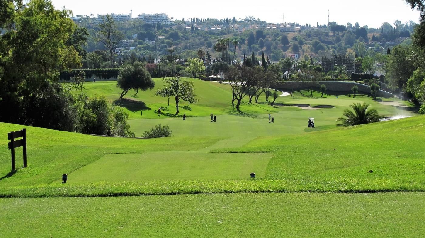 Aloha Golf | MPTI Aloha Golf