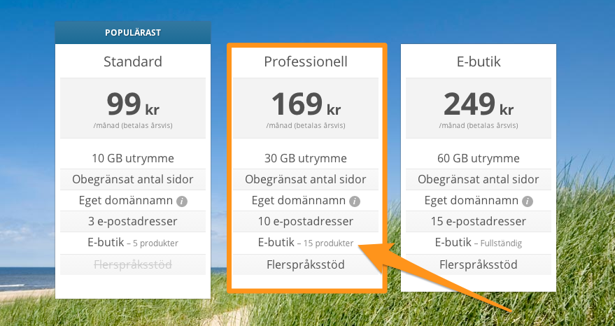 Fler produkter för dig med abonnemanget Professionell - Hemsida24