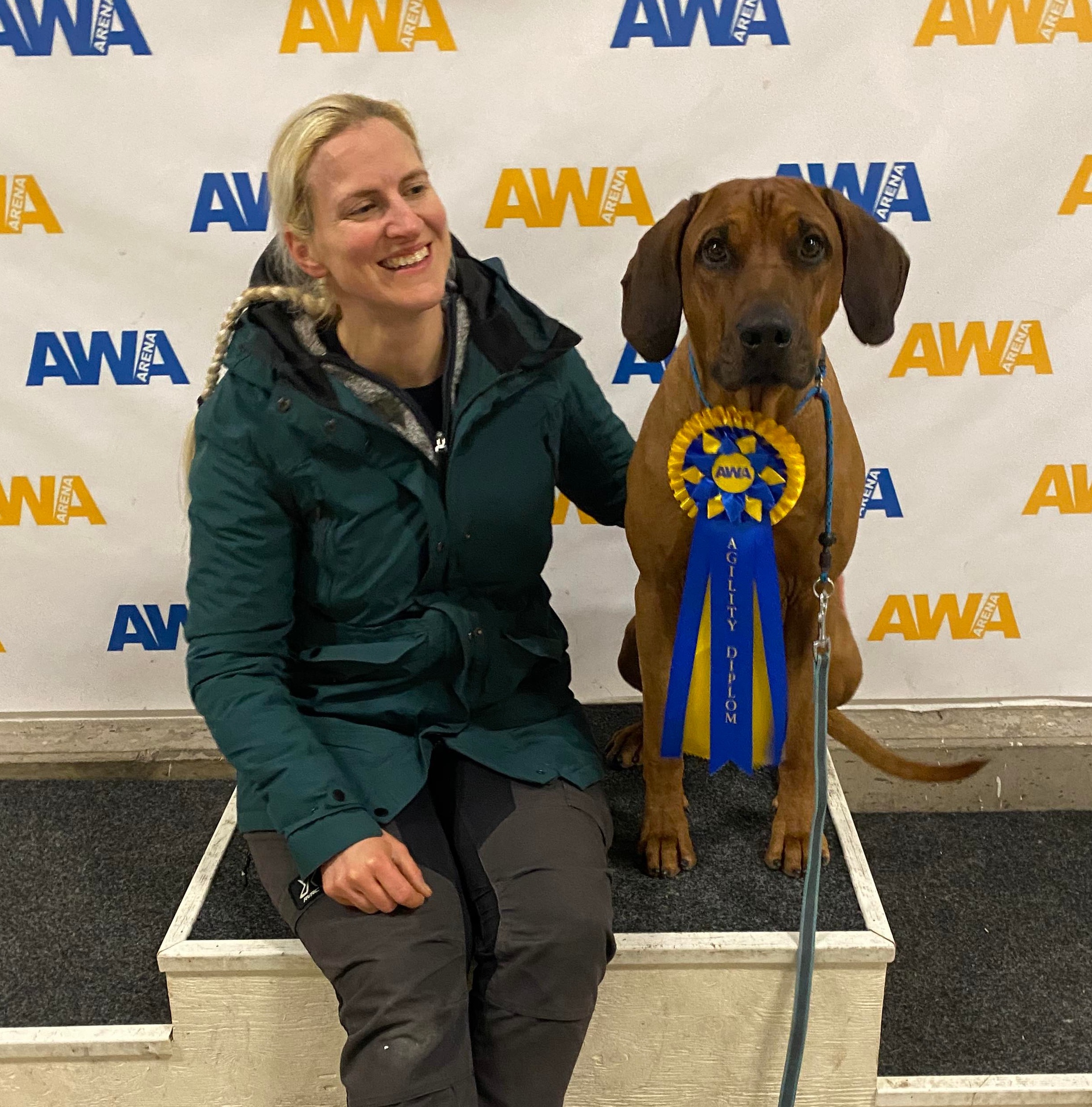 Nacho is Swedens first ridgeback with Agility Diploma! | Kennel Kadamo